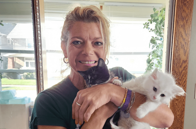 Noelles Foster Kittens – Saving Kittens One At A Time in ERIE, PA!
